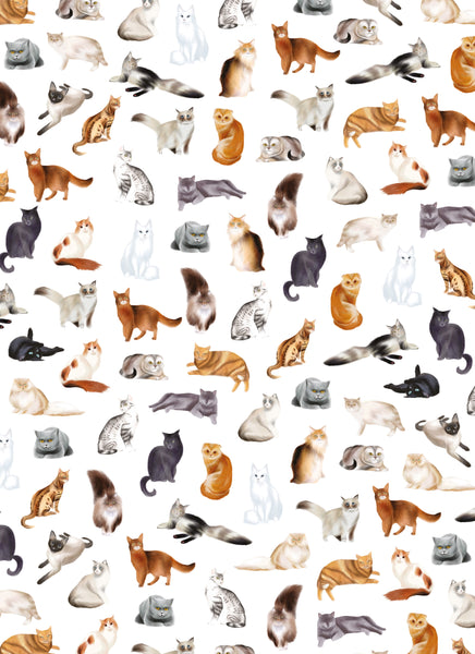 Chats / Cats - Linge a vaisselle / Tea Towel – MaisonLorrain